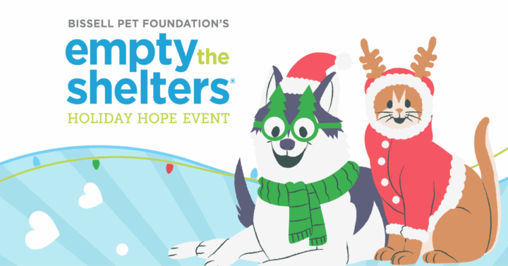 BISSELL Empty the Shelters Holiday Hope Adoption Event | Asheville ...