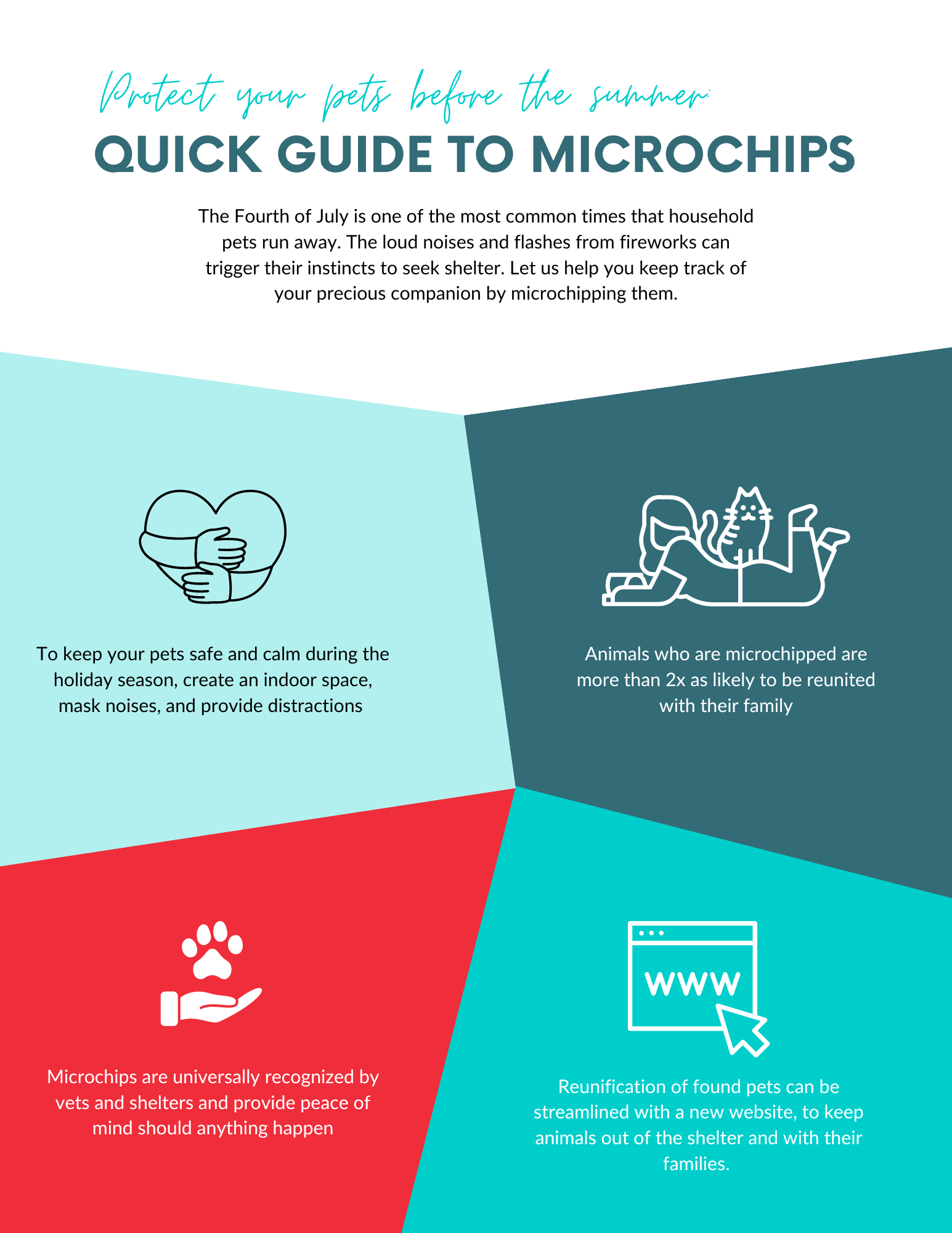 Microchipping for a Safer Summer | Asheville Humane Society