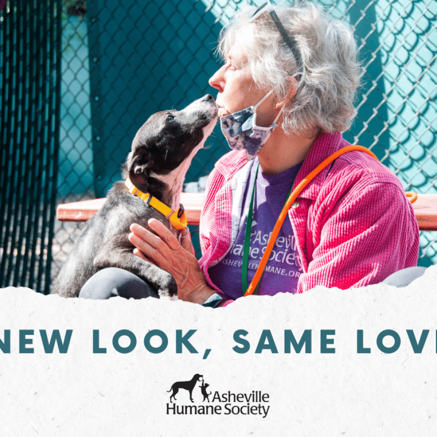 Asheville Humane Society Appoints New Executive Director Jeff Hassel | Asheville Humane Society